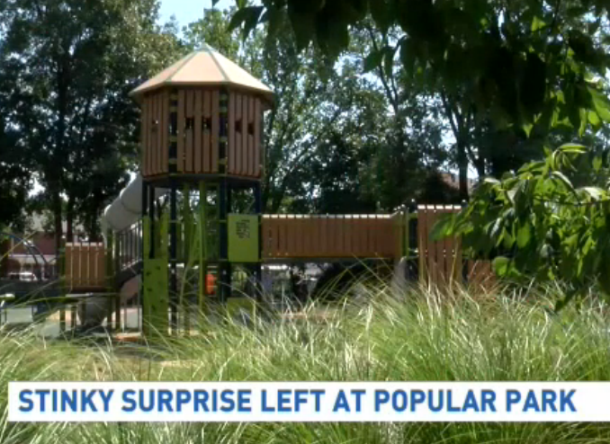 MYSTERY: 'Serial pooper' leaving hidden piles on VA playground ...