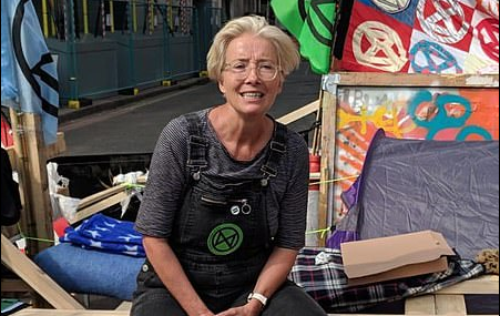 Actress Emma Thompson generates 1.67 tonnes of CO2 on 5,456-mile flight ...