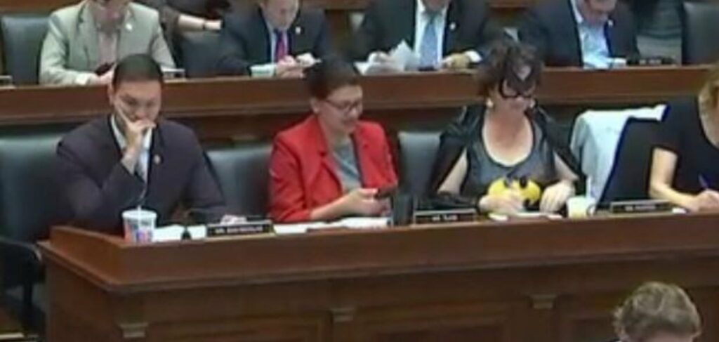 PHOTOS: Dem Rep sits in committee hearing - dressed as Batman ...